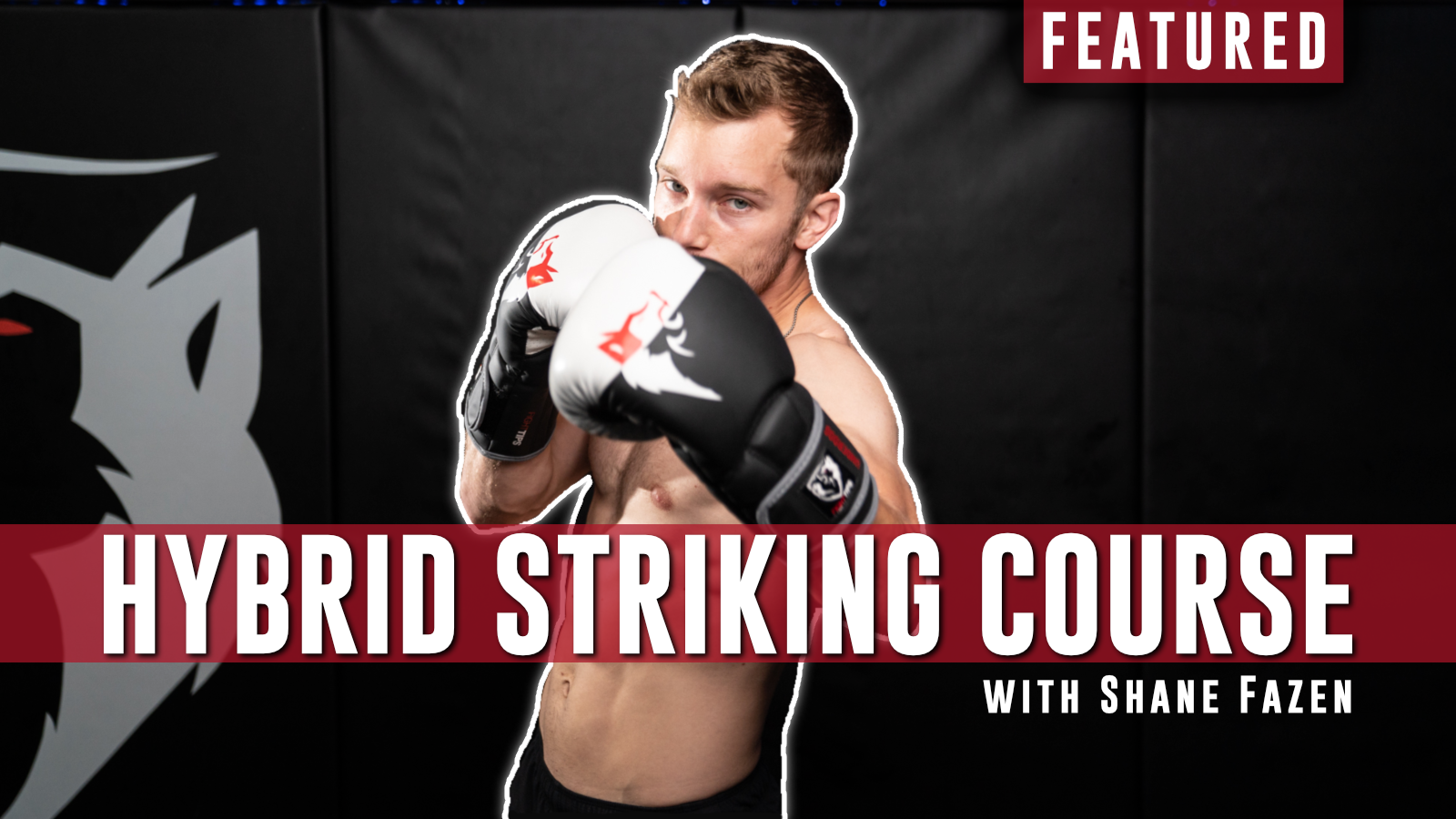 FIGHTTIPS – MMA for the Underdogs!